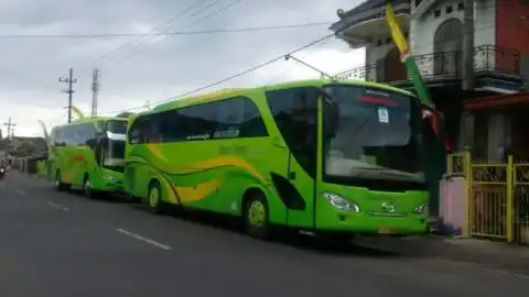 Informasi Lengkap Telp Alamat Pool Bus Pariwisata Duta Prima