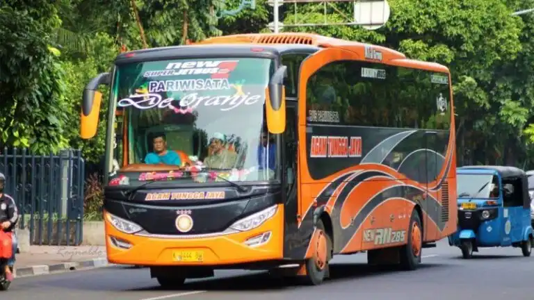 Informasi Lengkap Bus Pariwisata Agam Tungga Jaya - Bus Pariwisata ID