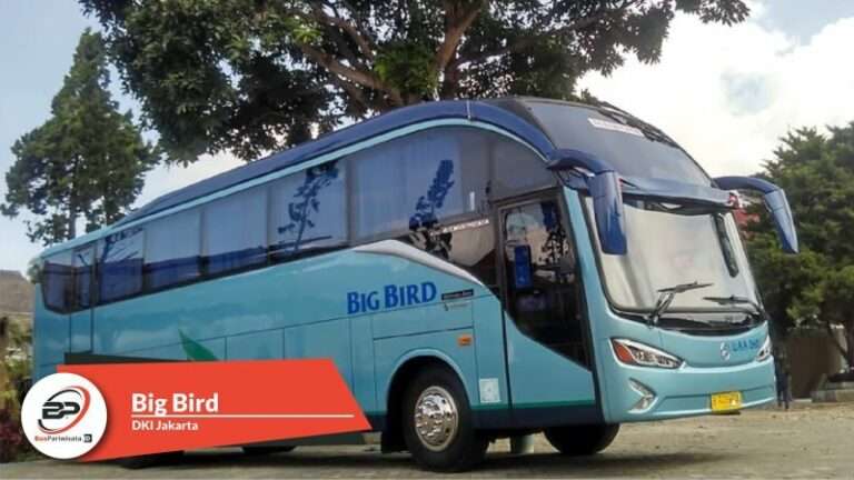 Informasi Lengkap Bus Pariwisata Big Bird - Bus-Pariwisata.id