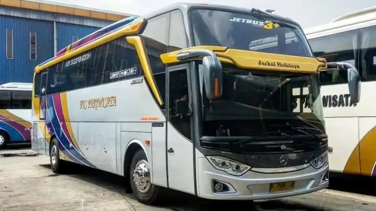 Informasi Lengkap Bus Pariwisata Jackal Holidays - Bus Pariwisata ID