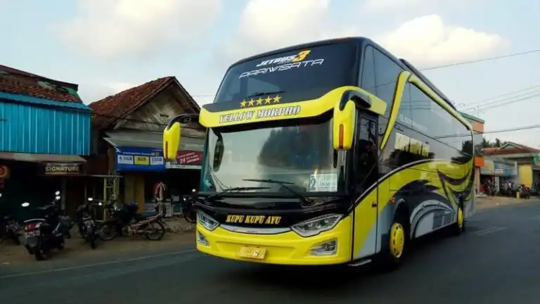 Informasi Lengkap Bus Pariwisata Kupu Kupu Ayu - Bus Pariwisata ID
