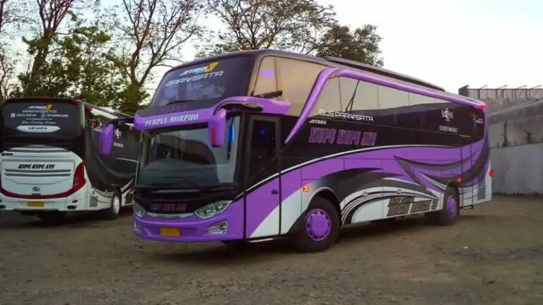 Informasi Lengkap Bus Pariwisata Kupu Kupu Ayu - Bus Pariwisata ID
