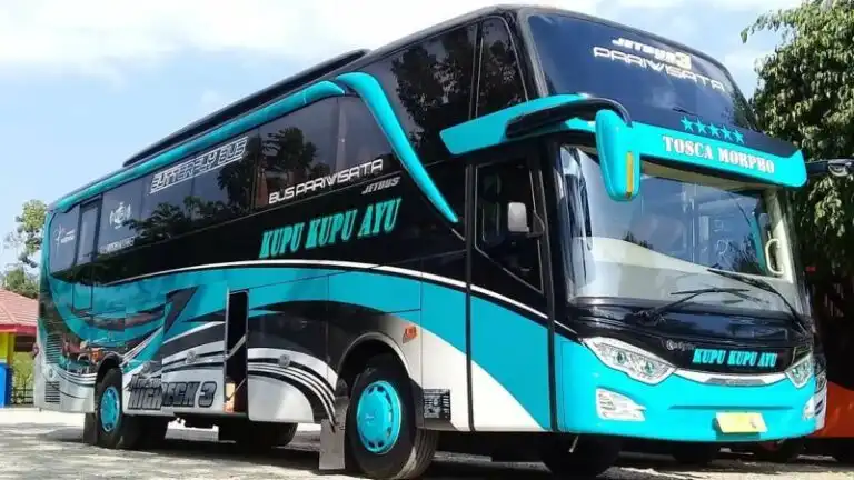 Informasi Lengkap Bus Pariwisata Kupu Kupu Ayu - Bus Pariwisata ID