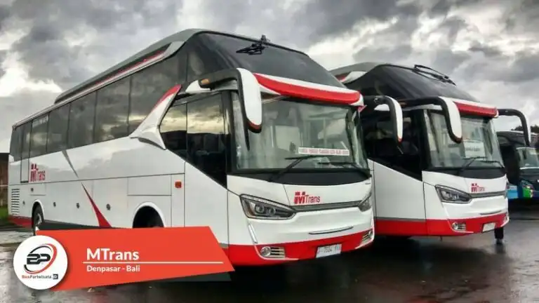 Informasi Foto dan Kontak Bus Pariwisata MTrans