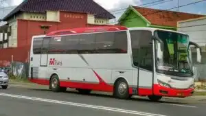 Informasi Foto dan Kontak Bus Pariwisata MTrans