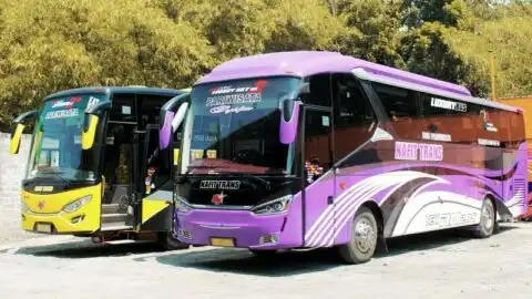 bus-pariwisata.id - foto bus pariwisata nafit trans e - Bus Pariwisata ID
