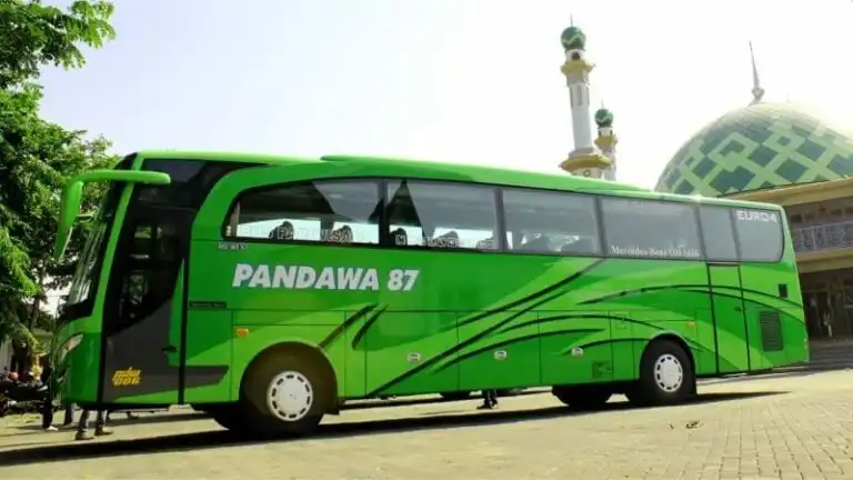 Informasi Lengkap Bus Pariwisata Pandawa 87 - Bus Pariwisata ID