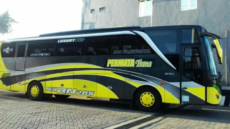 Informasi Foto dan Kontak Bus Pariwisata Permata Trans