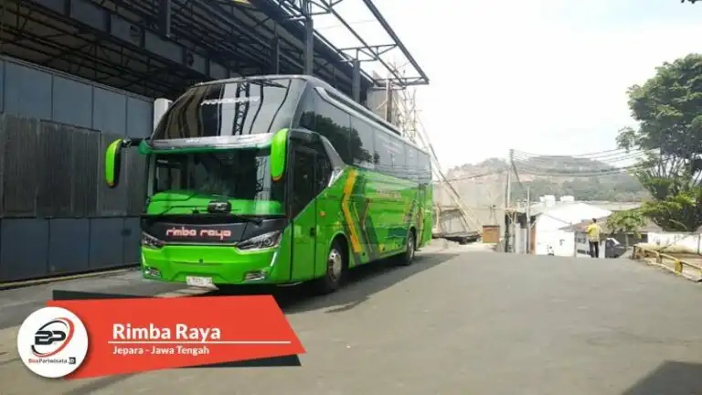 Informasi Lengkap Telp Alamat Pool Bus Pariwisata Rimba Raya