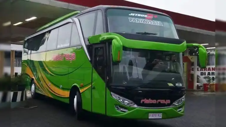 Informasi Lengkap Telp Alamat Pool Bus Pariwisata Rimba Raya