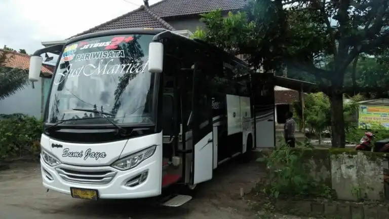 Informasi Foto dan Kontak Bus Pariwisata Sumi Jaya