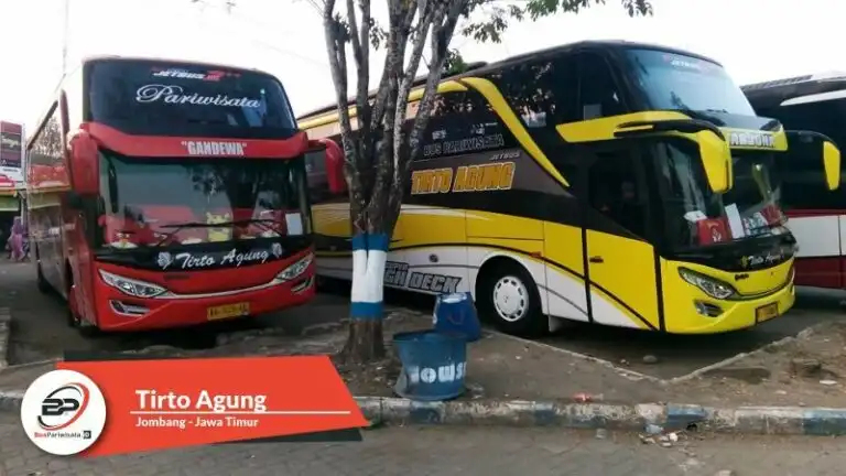 Informasi Foto dan Kontak Bus Pariwisata Tirto Agung
