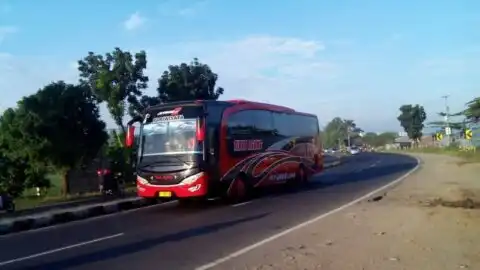 Informasi Foto dan Kontak Bus Pariwisata Tirto Agung