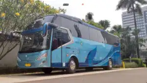 Informasi Foto dan Kontak Bus Pariwisata Big Bird