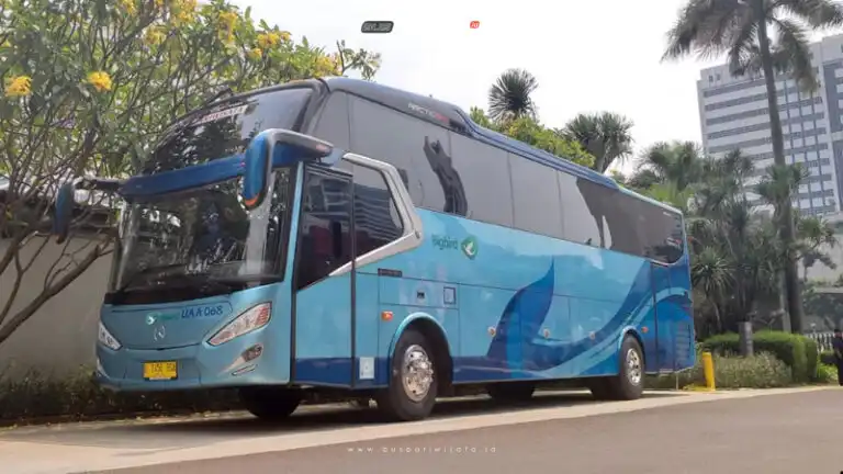 Informasi Foto dan Kontak Bus Pariwisata Big Bird