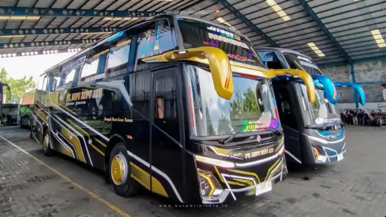Informasi Foto dan Kontak Bus Pariwisata Kupu Kupu Ayu