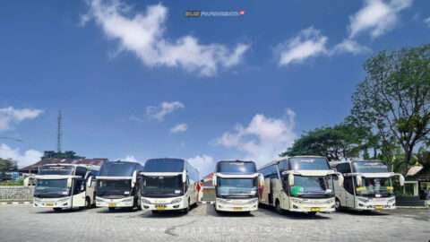 Informasi Foto dan Kontak Bus Pariwisata Kalisari