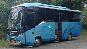 Informasi Foto dan Kontak Bus Pariwisata Big Bird