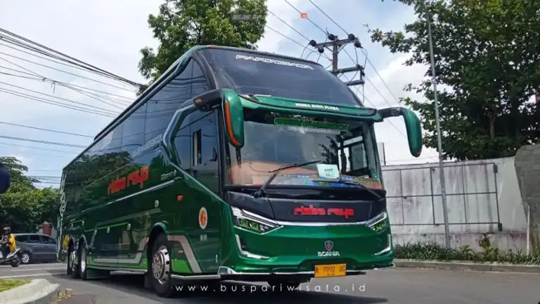 Informasi Foto dan Kontak Bus Pariwisata Rimba Raya