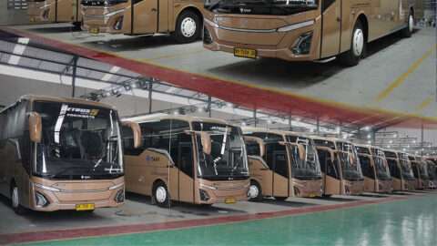 PO TAM Borong Bus Baru Pakai Jetbus 5 untuk Pariwisata - Bus Pariwisata ID